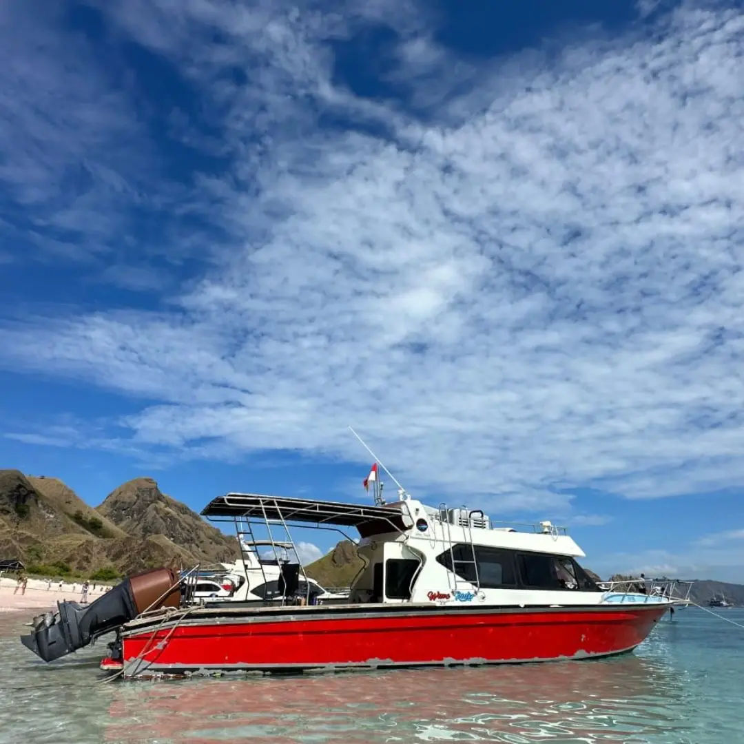 Wave Rider Speed Boat - Mari Komodo Tour